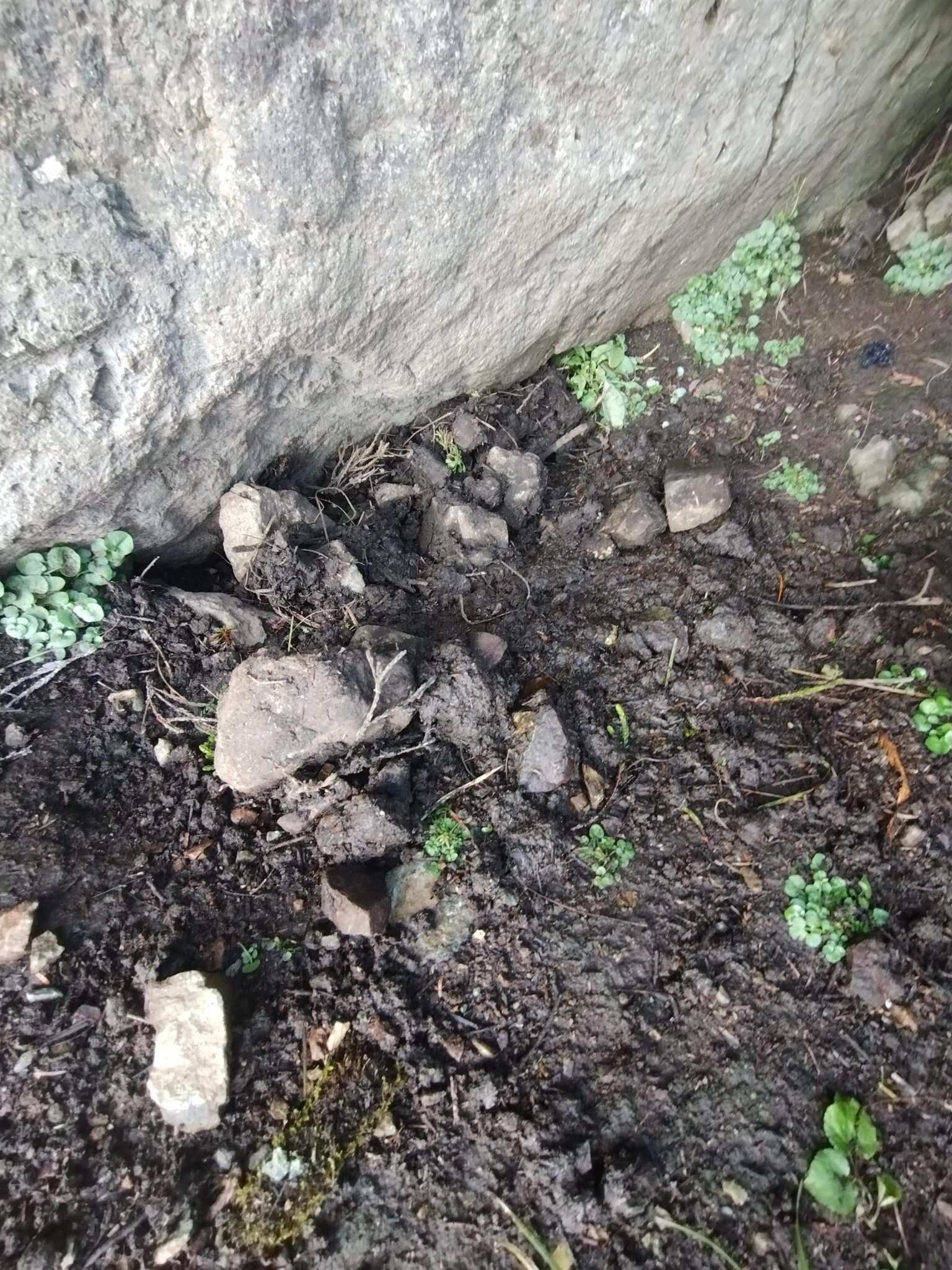 Mud plugs and long rests