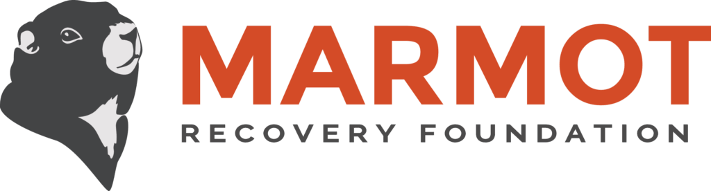 About the Foundation